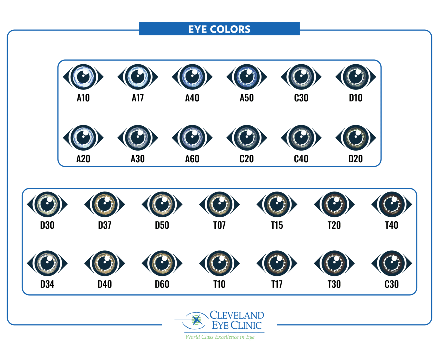 What Are The Rarest Eye Colors? - Eye Color Chart
